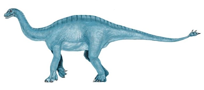 Dinosaurios - Shunosaurus